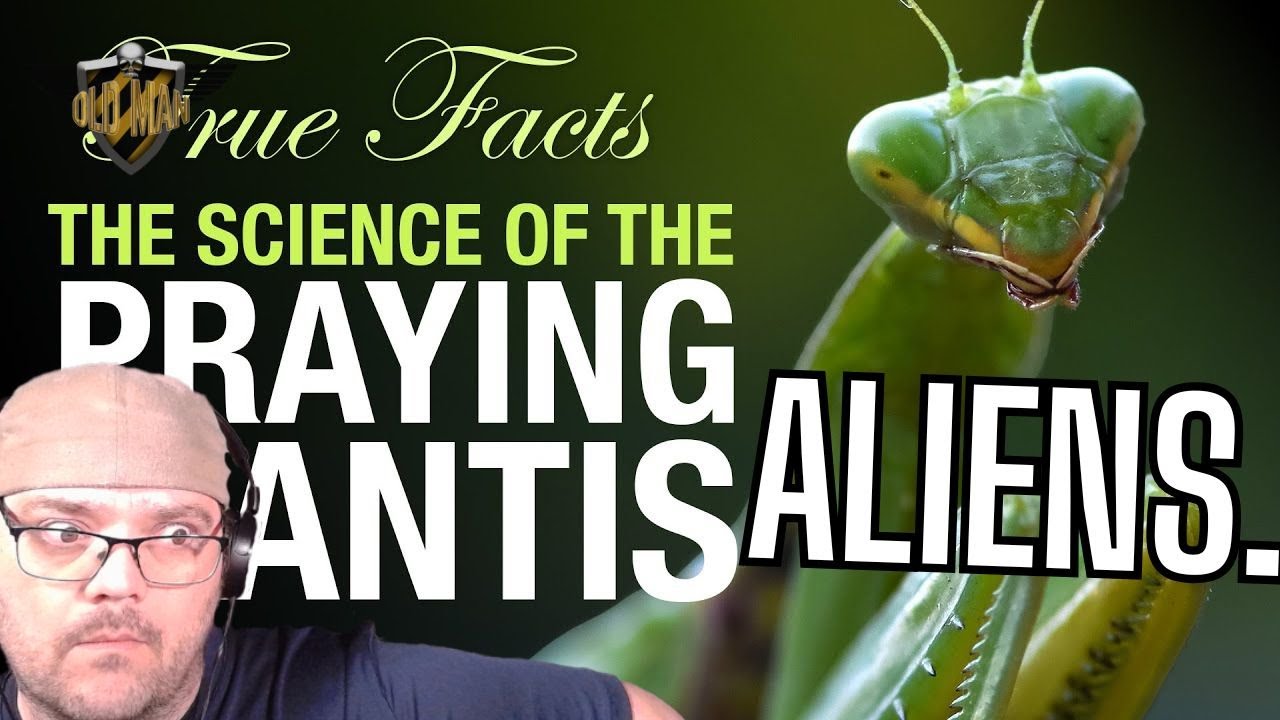 True Facts: The Science of the Praying Mantis Bruh Wut Edition - by Ze ...
