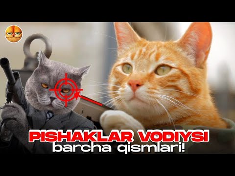 Pishaklar vodiysi barcha qismlar - Najim pishakdan yangi seriyal 1- qism