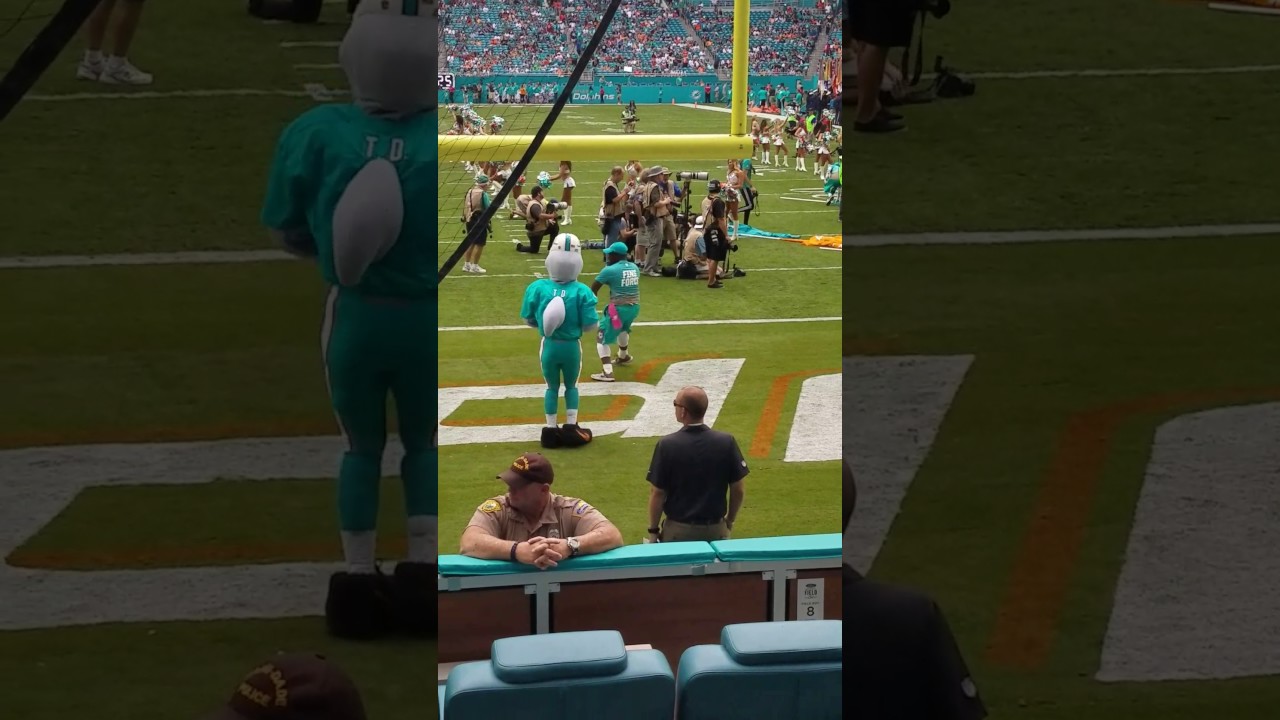 Dolphin mascot, td, breakin a move - YouTube