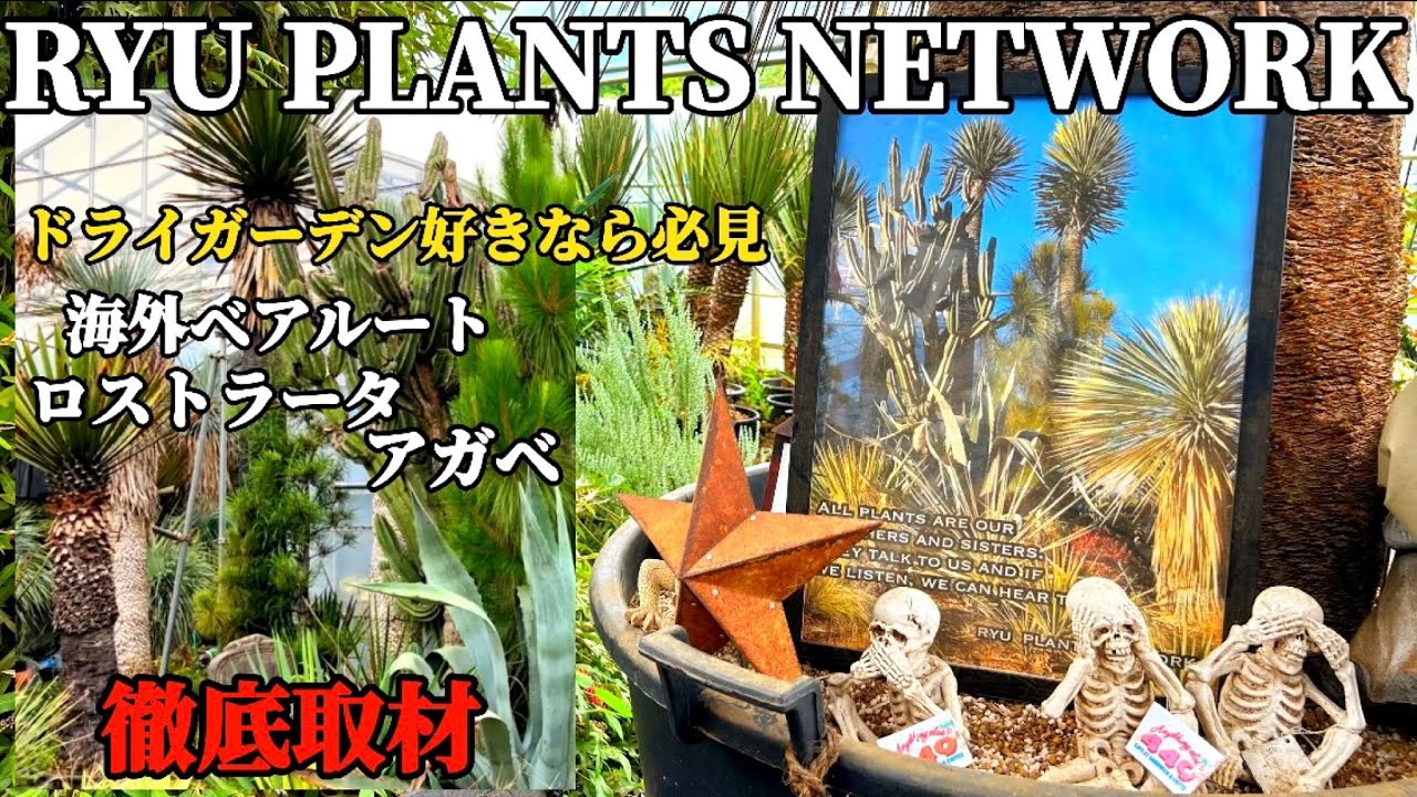 【RYU PLANTS NETWORK】徹底取材SP!!ドライガーデンの全てが詰まったハウスと植物愛に溢れたRYUさんとの貴重な撮影映像は必見 ...