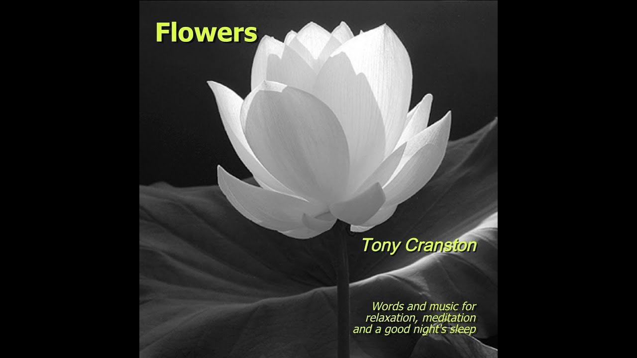 flowers meditation - YouTube
