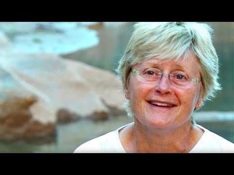 Mandatory Family Fun - YouTube