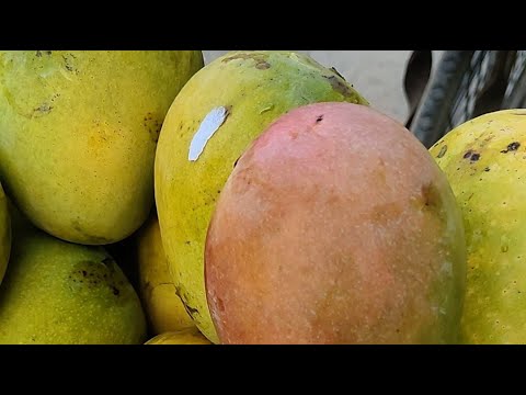 fruit mango live video sweets #virals video