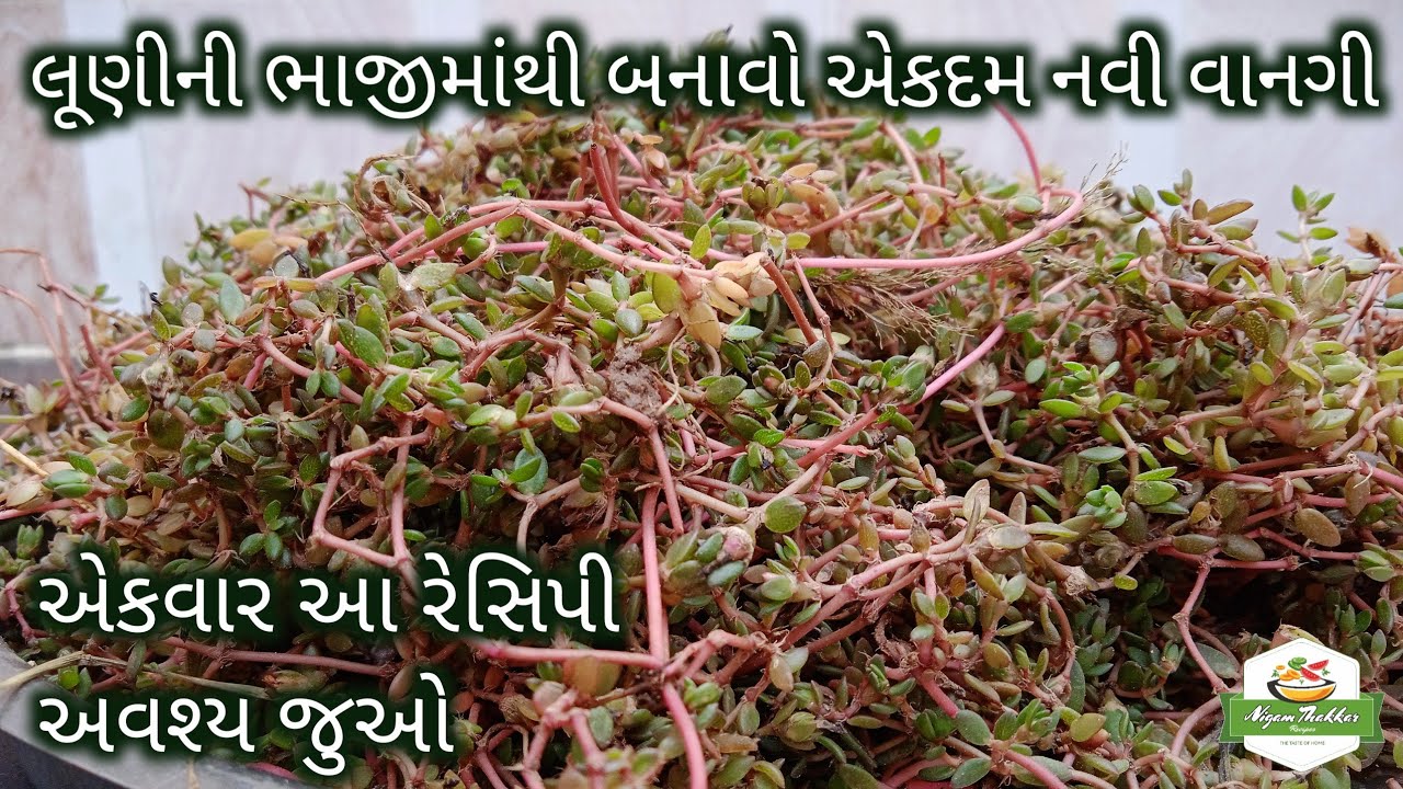 લૂણીની ભાજીમાંથી બનાવો એકદમ સ્વાદિષ્ટ નવી વાનગી | Luni Ni Bhaji Recipe ...