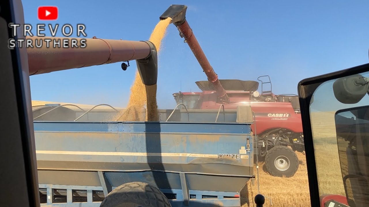 Harvest Day...i dont know - Grain Hogs S02E06 - YouTube