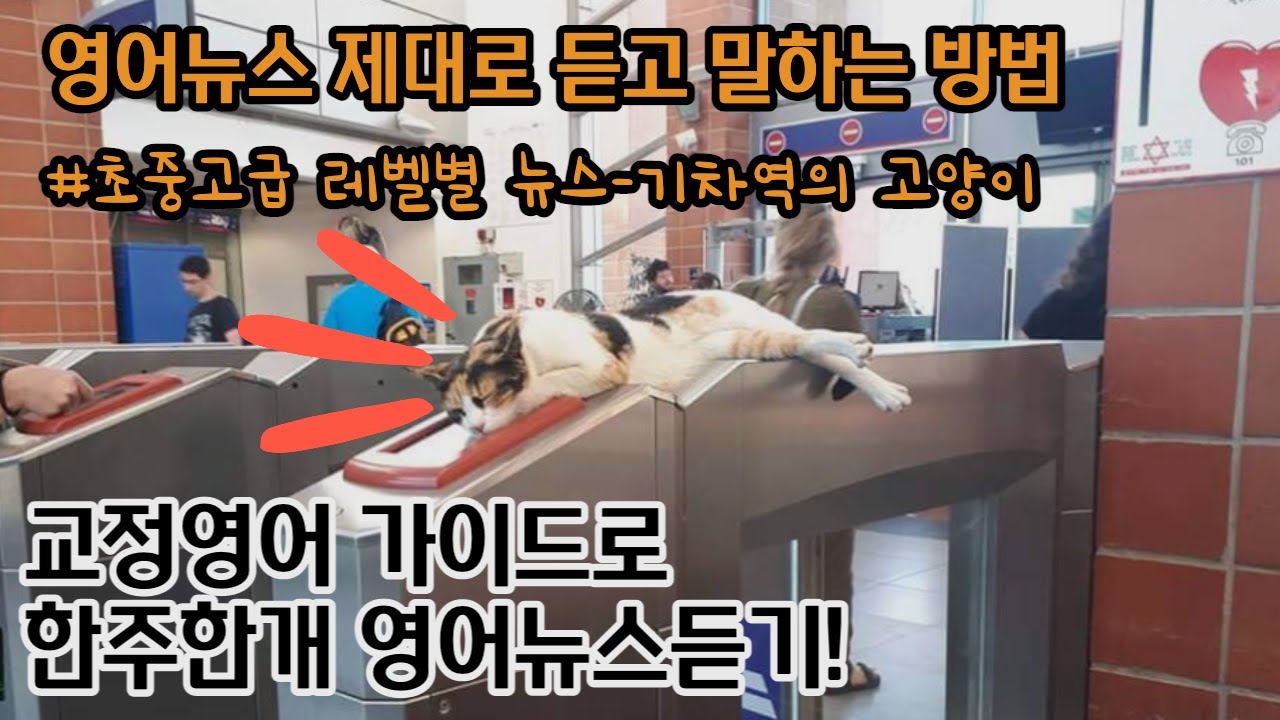 영어뉴스 제대로 듣고 말하는 법 | 레벨별 듣기와 말하기 팁 #Mitsi the cat 기차역의 고양이 - YouTube
