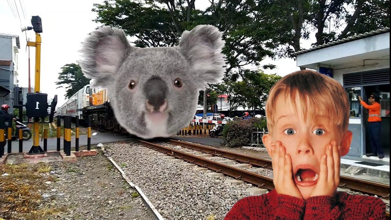 FUNNY TRAIN SUDDENLY TURNS INTO A KOALA 😂😱 @Funny World of Trains - YouTube