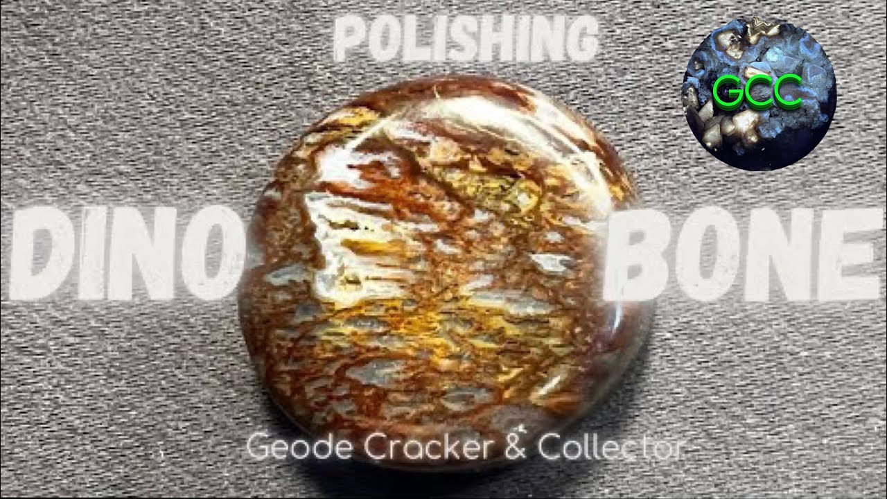 Polishing Dinosaur Bone! | Gemstone Polishing #hitechdiamond #cabking ...