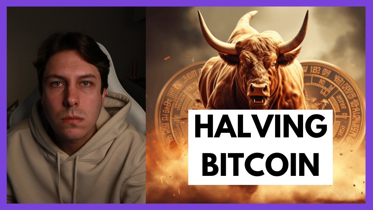 Las 5 Fases Del Halving De Bitcoin Que Todo Holder De Criptomonedas ...