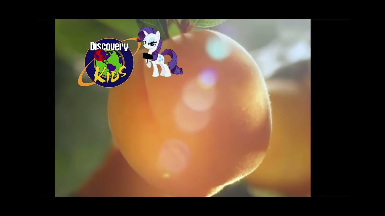 Discovery Kids Screen Bug Animation - YouTube