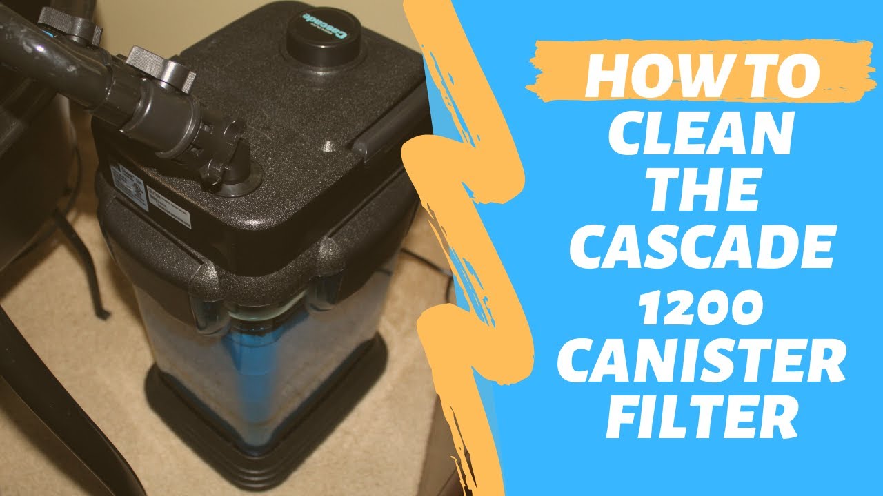 How To: Clean Cascade 1200 - YouTube
