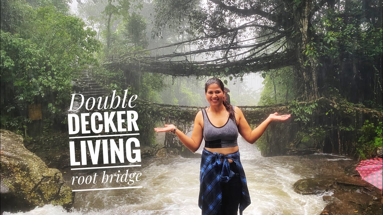 Shillong Day-2 | Double Decker Living root bridge | Full Vlog 📱| Rainy ...
