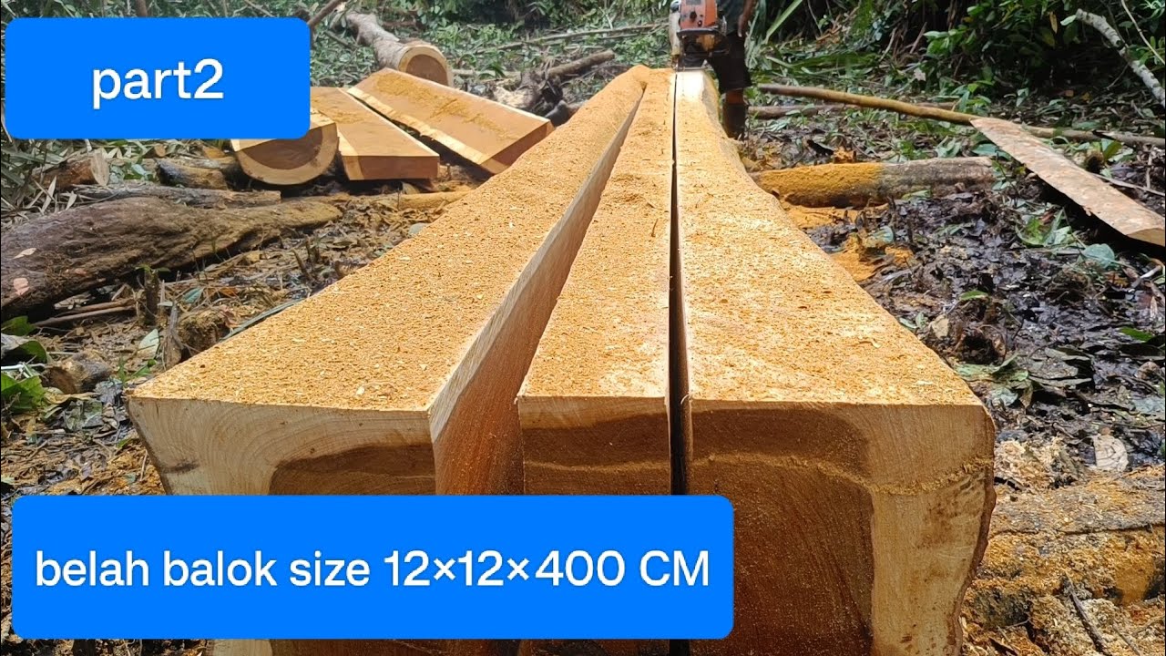 PART2 ‼️PEMBUATAN BALOK SIZE 12×12×400CM ‼️MENGGUNAKAN GERGAJI MESIN ...