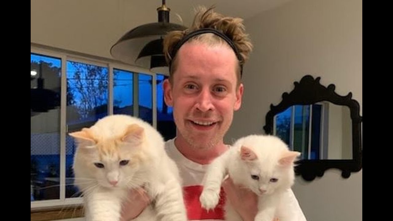 Meme Edit 3 - YouTube