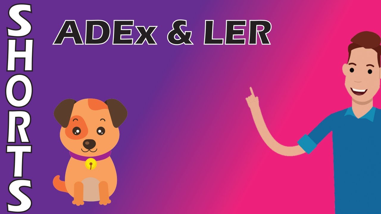 #Shorts: ADEx & LER - Debits and Credits - YouTube