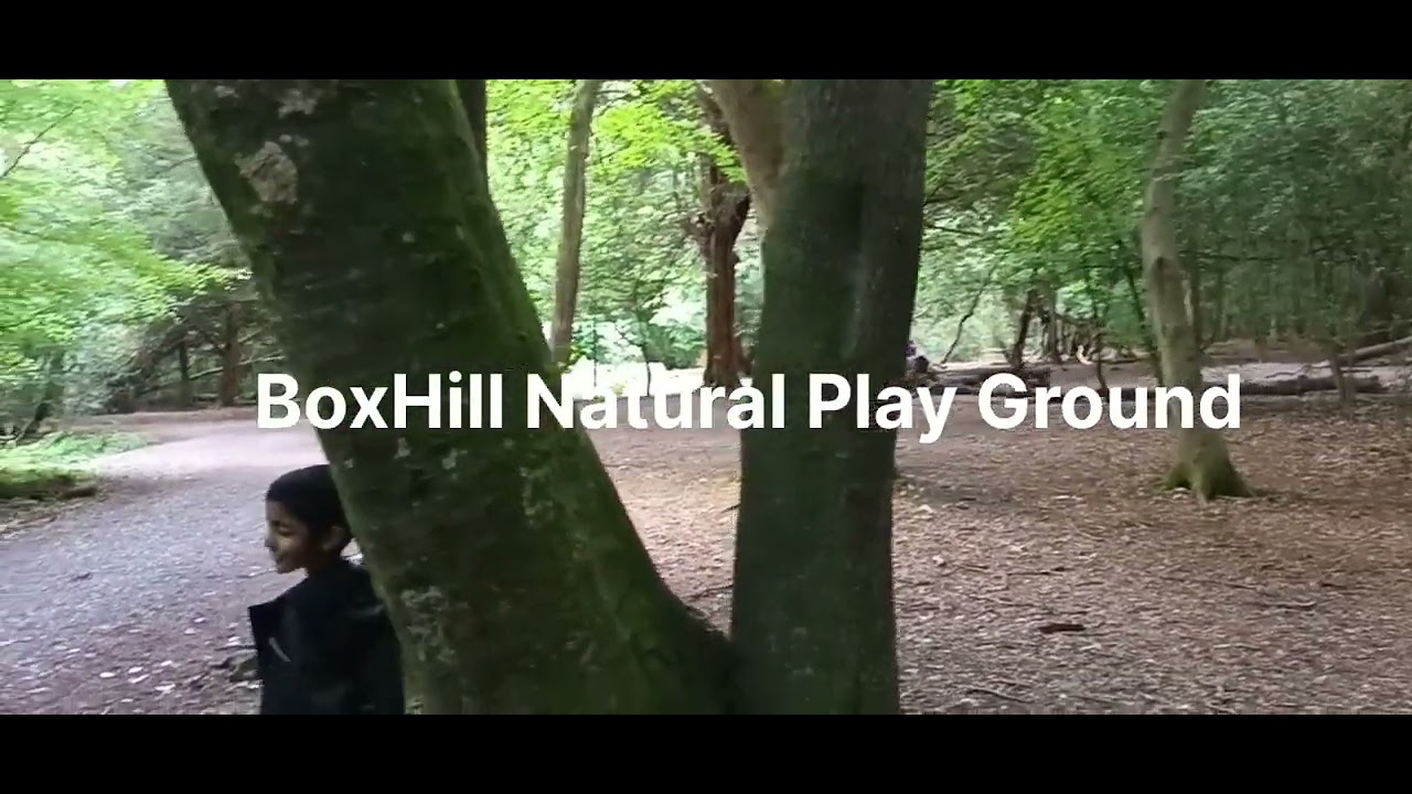 Box Hill View Point Surrey England - YouTube