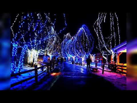 Jingle Bell Rock Fromtrap City ( yılbaşı şarkısı )