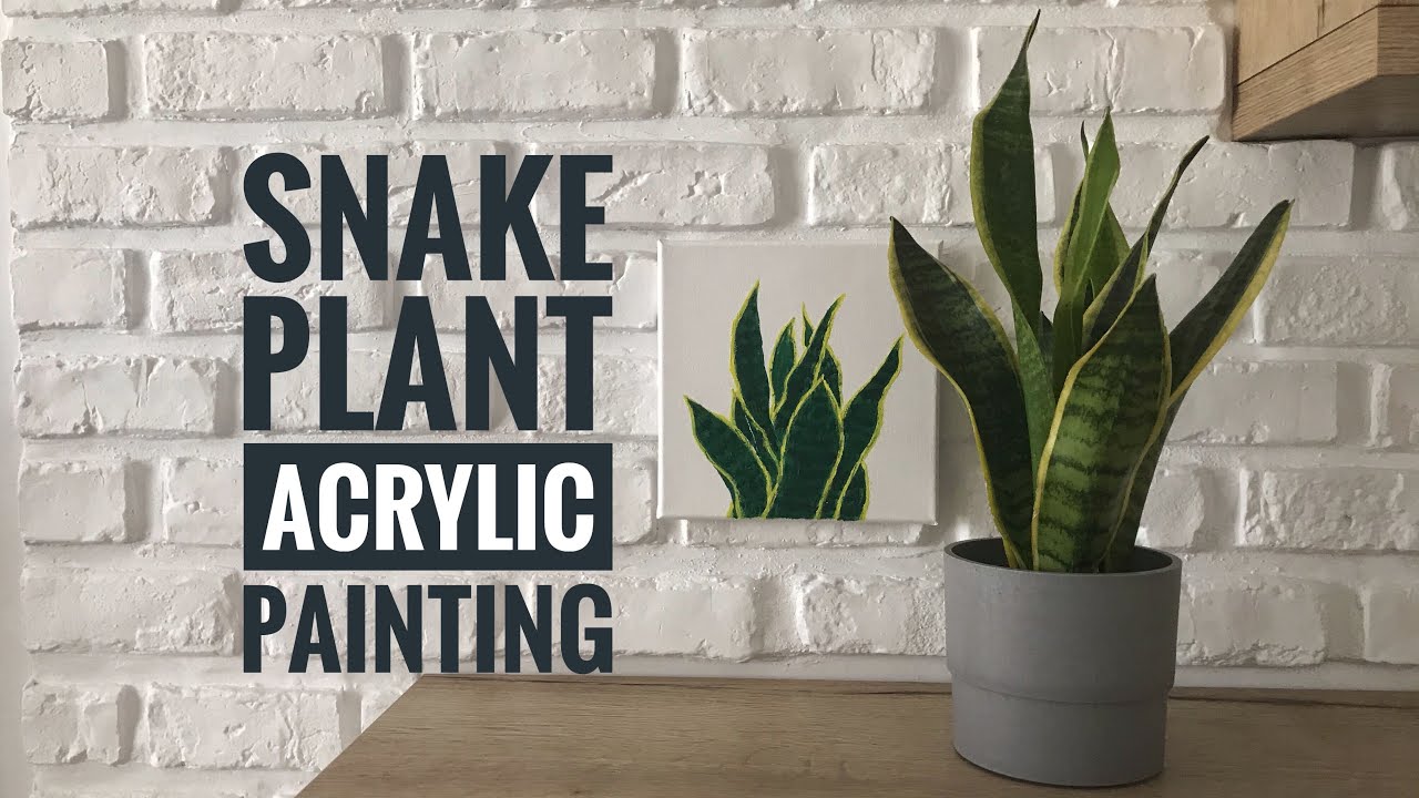 Snake Plant Acrylic painting | Timelapse tutorial - YouTube