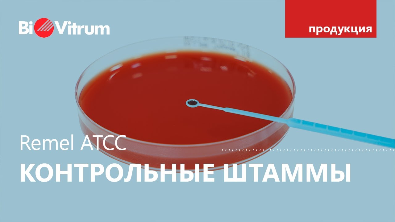 Контрольные штаммы Culti-Loops (Remel) - YouTube