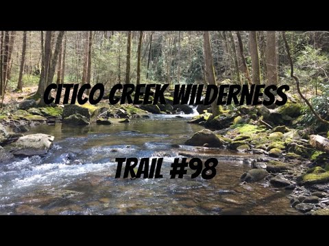 Citico Creek Wilderness — A Springtime Hike - YouTube