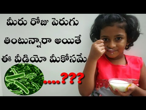 CURD formation//importance//by sowmya - YouTube