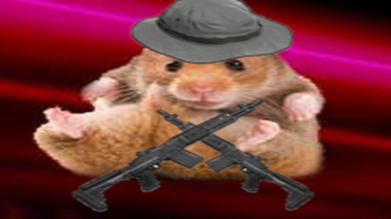 How hamster murders people. :) - YouTube