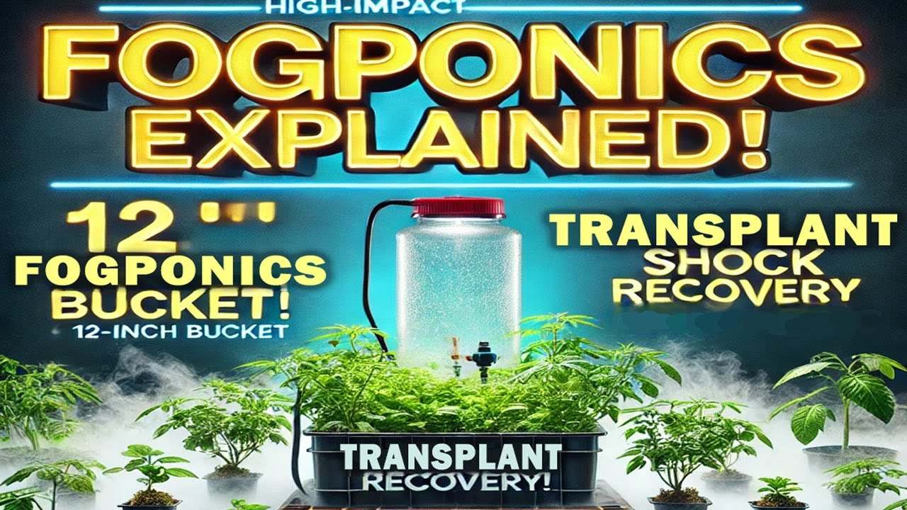 Hydroponics Training - Episode 25 (DIY FOGPONICS AT HOME) Hydroponics ...