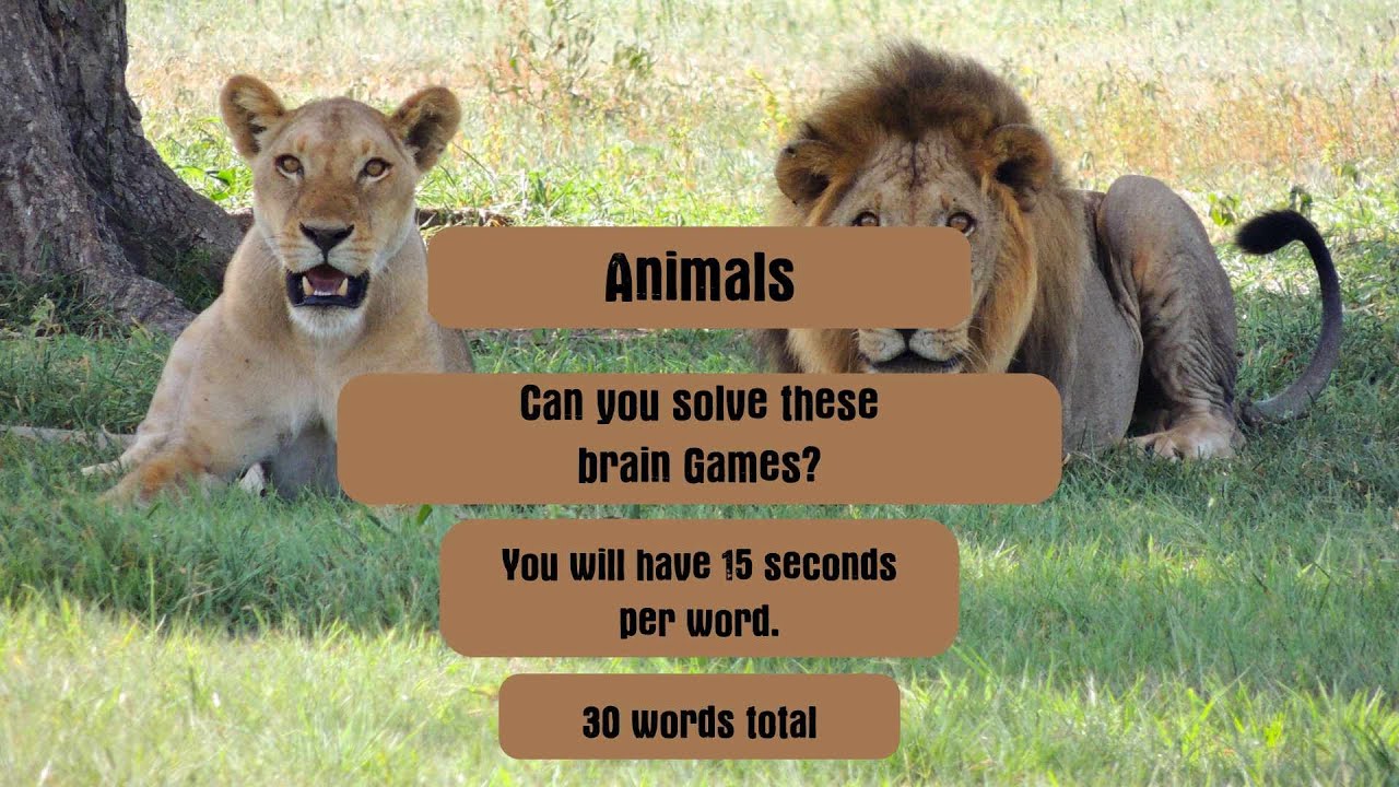 SCAMBLE! - The Fun, Addictive Game of Word scramble with Easy to Follow ...