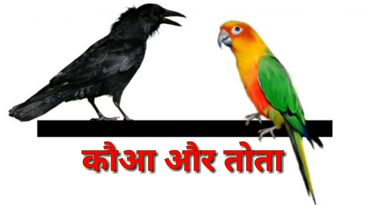 कौवा और तोता का कहानी || Story Of Crow And Parrot || - YouTube