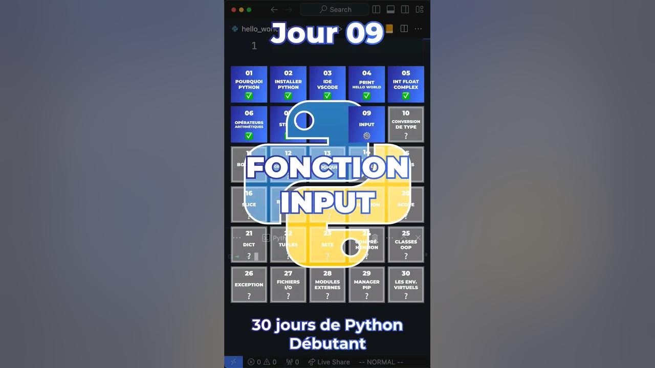 La fonction input - Jour 9 des 30 Jours de Python Débutant - YouTube