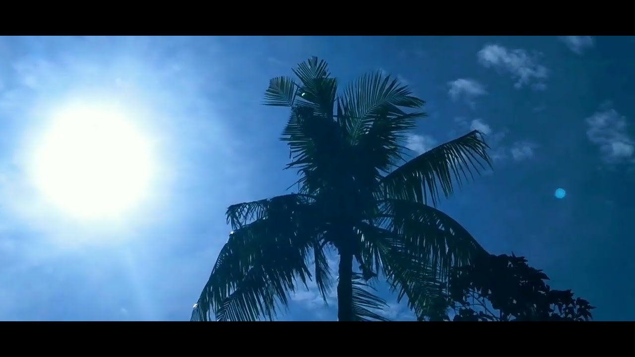 Cinematic Video || Blue Sky || Langit Biru - YouTube