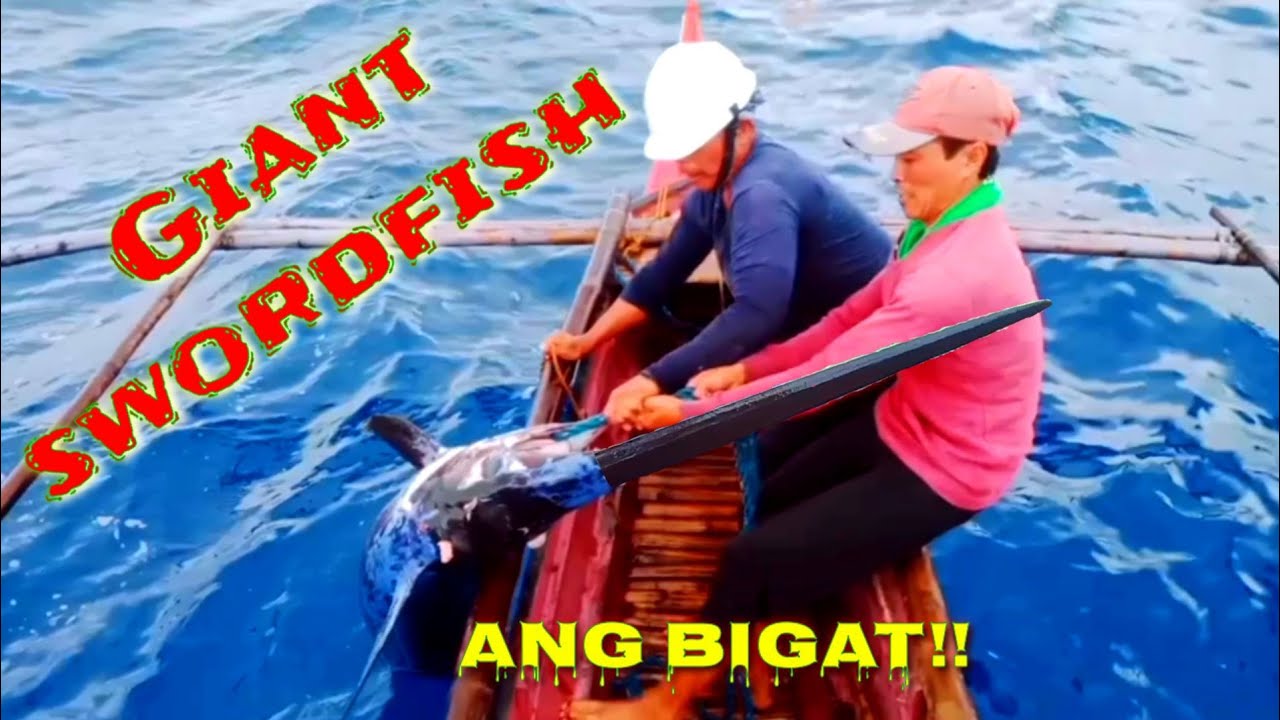 @kuya jonel vlog/Giant swordfish/fishing in eastern Samar Philippines ...