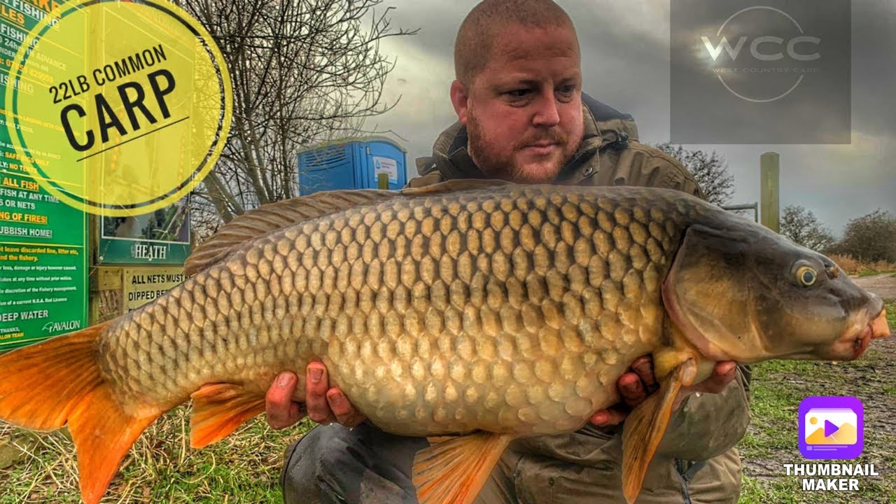 Carp fishing- 22lb PB common carp...must watch - YouTube