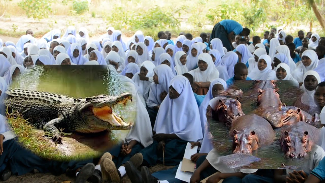 WANAFUNZI WASHINDWA KWENDA SHULE KWA KUHOFIA KULIWA NA MAMBA RUVU ...