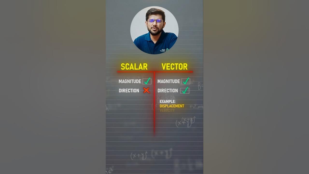 Scalar vs Vector Quantities - Key Differences With Examples🔥| Units and ...