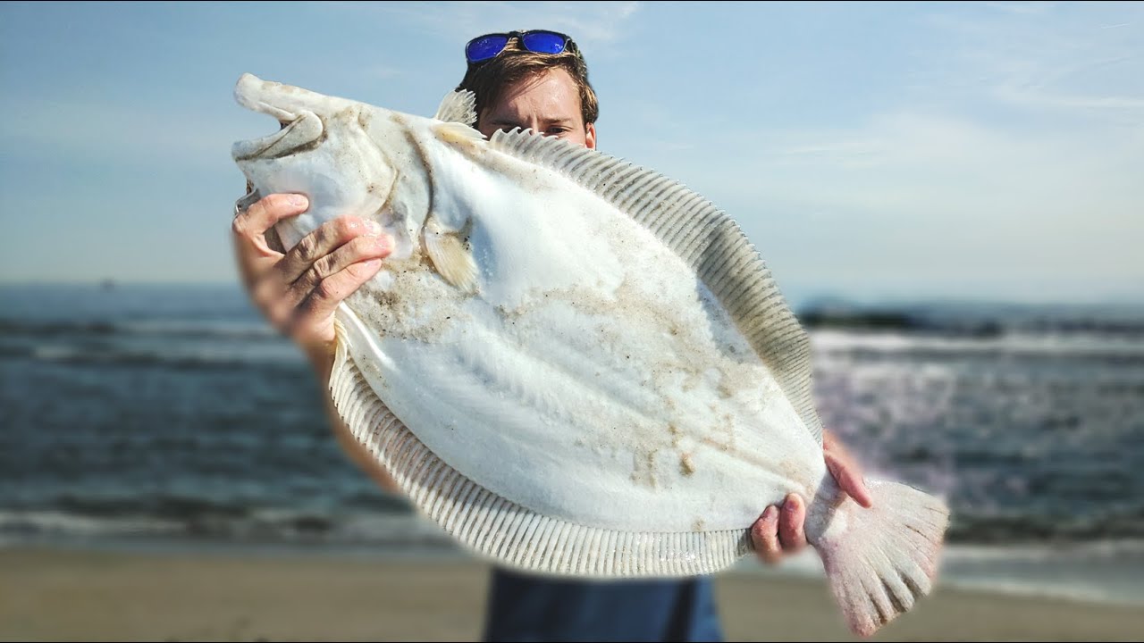 A GIANT FLUKE FROM SHORE - Max's PB Flounder - Fishing the Single Jig ...