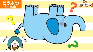 ノッカーナアニメーション nokkana animation | YouTubeランキング：人気YouTuberや公式チャンネルの情報を掲載