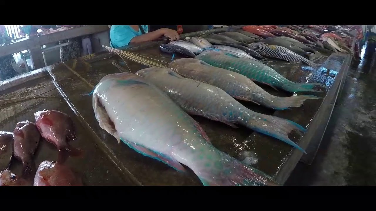 Gopro 2018-Koki Fish Market / Fresh seafood #workandtravel#seafood# ...