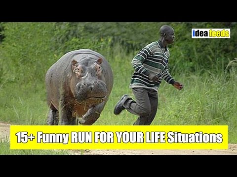 15+ Funny RUN FOR YOUR LIFE Situations - Try Not To Laugh - YouTube