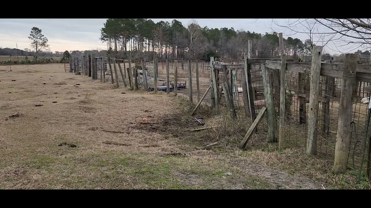 Cow catch pen tour! - YouTube