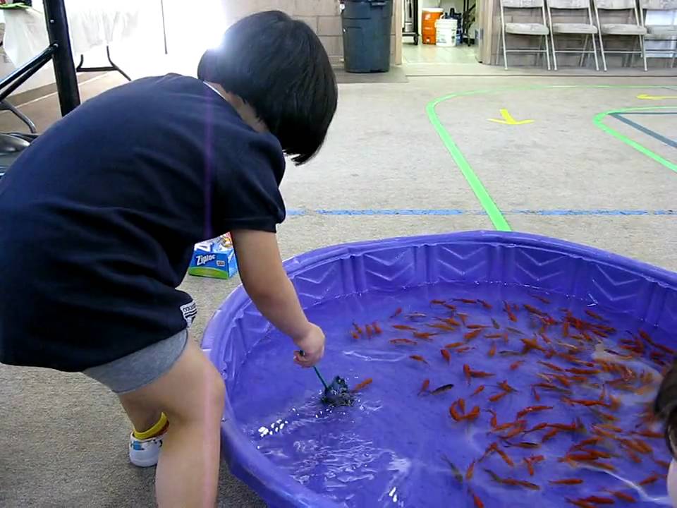 Catching Goldfish - YouTube