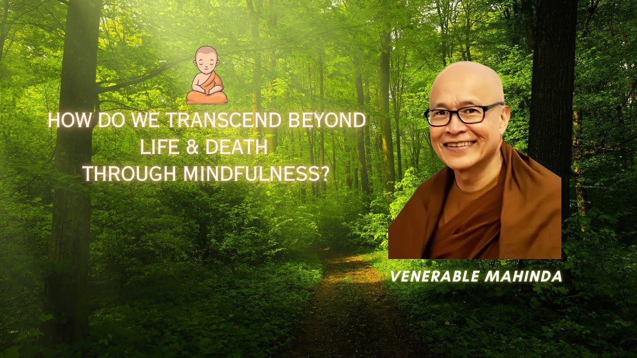 How Do We Transcend Beyond Life & Death Through Mindfulness? | Little ...