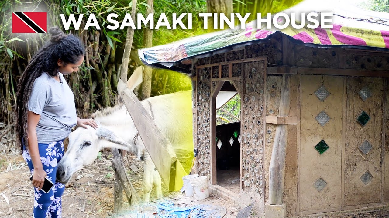 Tiny House Update at Wa Samaki Ecosystems in Freeport, Trinidad & Tobago 🇹🇹 Foodie Nation - YouTube