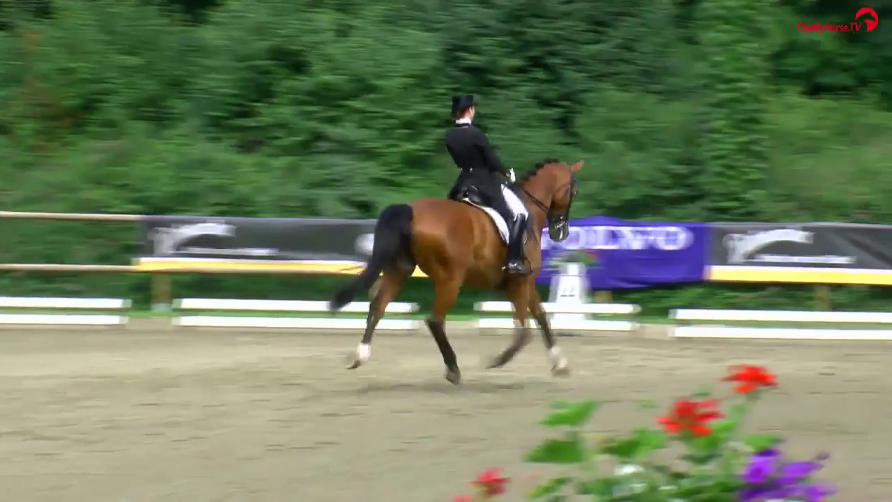 Hanerau-Hademarschen 2018 - Grand Prix de Dressage - Josephine Rosen ...