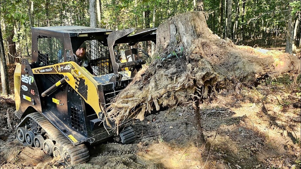 ASV RT40 Loading 30 Yard Dumpster With Logs - YouTube