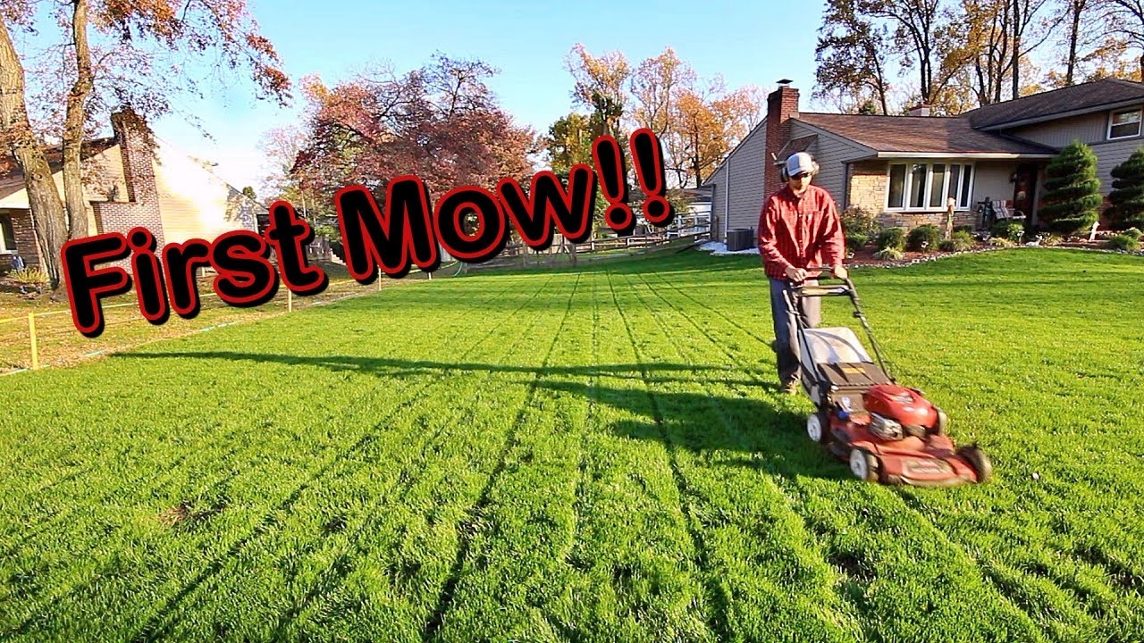 First Mow On The Project Lawn - YouTube