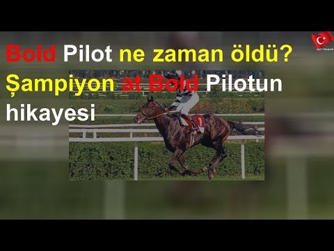 Bold Pilot ne zaman öldü? Şampiyon at Bold Pilotun hikayesi