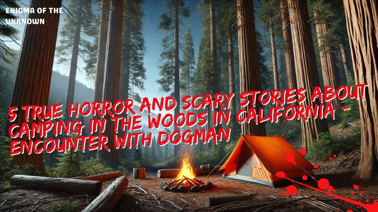 5 True Horror And Scary Stories About Camping In The Woods In ...