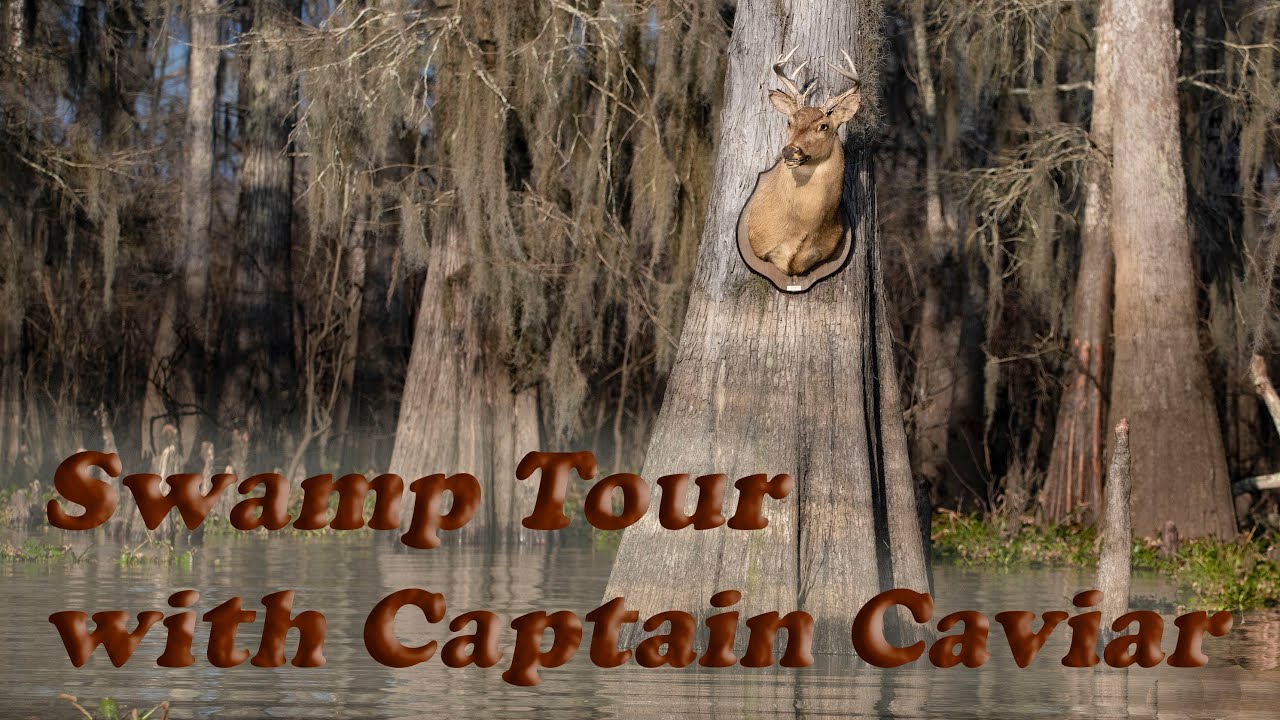 Swamp tour with Captain Caviar - YouTube