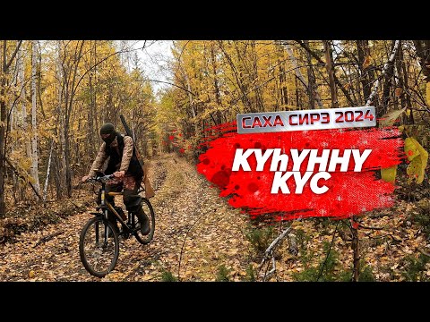 КУhУННУ КУС. КЭРИЙЭН ЫТЫЫ. ЯКУТИЯ 2024. ОХОТА НА УТОК С ПОДХОДА.